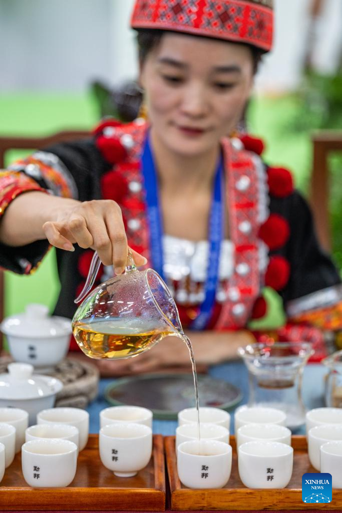 1st South Asia Tea Festival Kicks off During 7th China-South Asia Expo ...